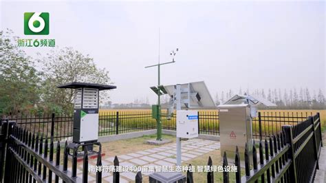 嘉兴市嘉善县农业农村局：高标准农田建设助力乡村振兴腾讯视频
