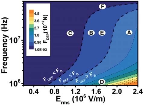 Contour Plot Showing The Magnitude Of Dielectrophoretic Force Acting On Download Scientific