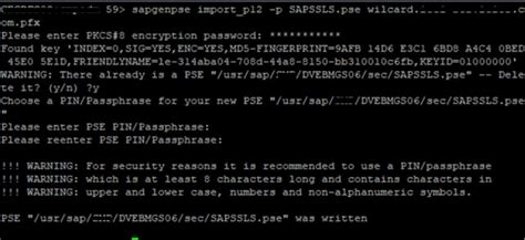 Talk About Sap Como Meter Certificado Wildcard En Ssl Server