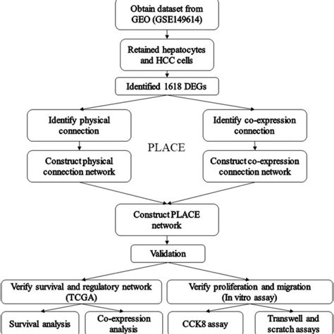 Identification Of Differential Expression Genes And Construction Of