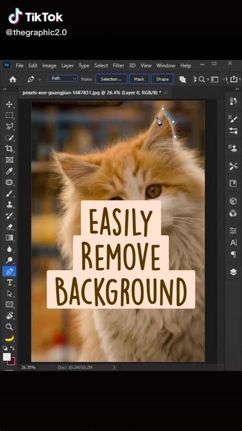 Easily Remove Background
