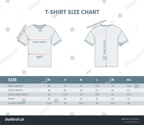 Man T Shirt Size Guide Chart Vector Stock Vector Royalty Free