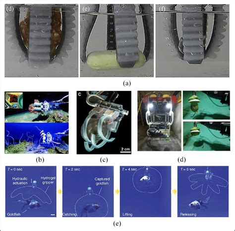 Fluid Driven Soft Underwater Grippers A The Pneumatic Gripper With Download Scientific