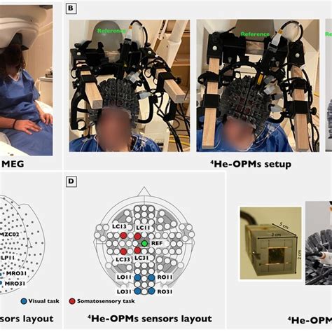Average Signal To Noise Ratio Per Modality Sensor Type And Axis Black Download Scientific