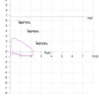 Spirometry Flow Volume Loop Of The Patients Shows Flattening Of The Download Scientific Diagram
