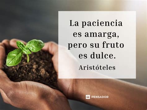 41 Frases De Paciencia Que Inspiran Serenidad Pensador