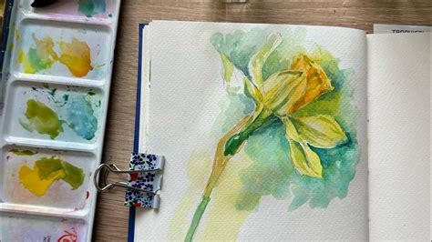 Як намалювати нарцис з натури Watercolor Daffodil Youtube