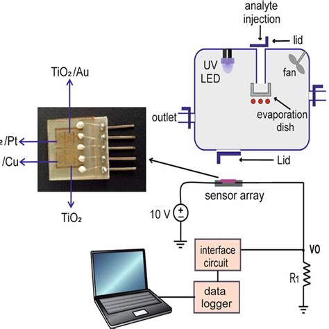 schematic diagram of the uv‐activated room temperature gas sensing download scientific diagram