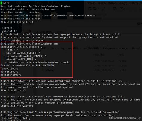 K8s集群搭建（二）—flannel搭建（非docker搭建）不使用docker Flannel Csdn博客