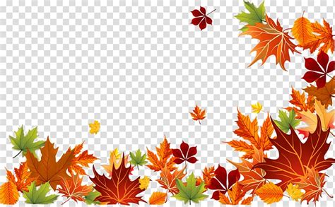 Vector Fall Leaf Border