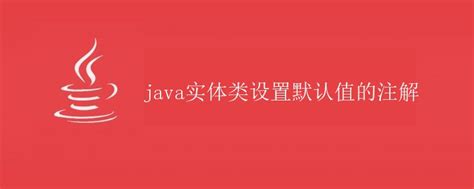 Java实体类设置默认值的注解极客笔记