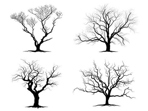 1 Bare Root Trees Sale Stock Vectors And Vector Art Shutterstock