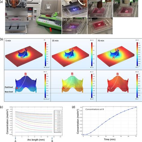 3d Printing Simulation With Fs System A Without Fluid Supply B Download Scientific