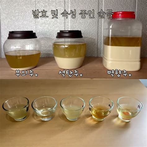 전통주강좌1기 10강 술의 숙성의미 및 전통주 익히기 2025 5 21 수 술 술테마박물관 시음 부의주 석탄주