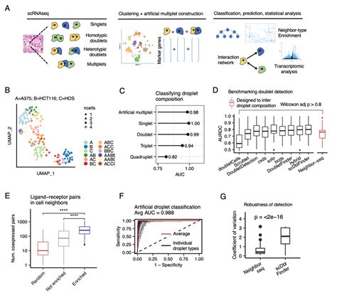 Benchmarking Cell Neighbor Detection And Annotation A A Schematic Download Scientific