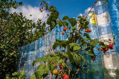 Строим забор из пластиковых бутылок своими руками