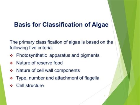 Classification Of Algaepdf Biological Sciences Science