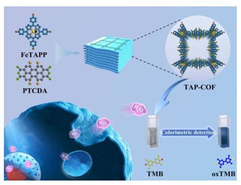 Article Mdpi Frameworks Colorimetric Organi Biosensors Sensors Openaccess Abstract