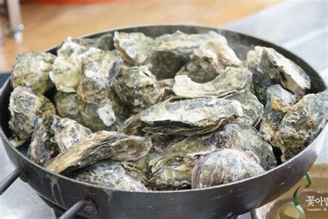 굴 경상남도 남해군 음식