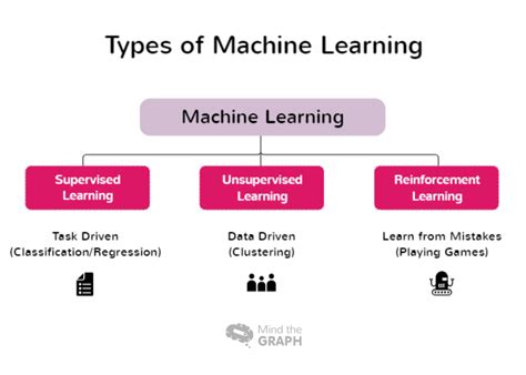 Unveiling The Influence Of Machine Learning In Science