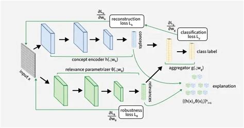 Self Explaining Neural Networks Geeksforgeeks