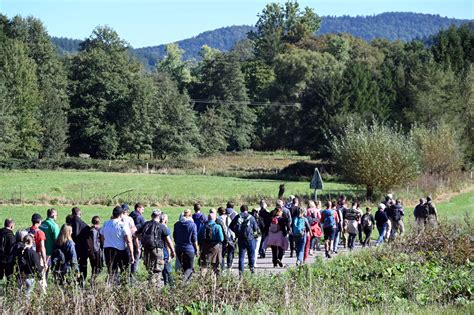 Disparition De Lina Dans Le Bas Rhin Le Parisien