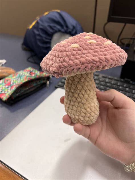 Tester Call For Pattern Crochet Pattern Mushroom Plush Testing Zone