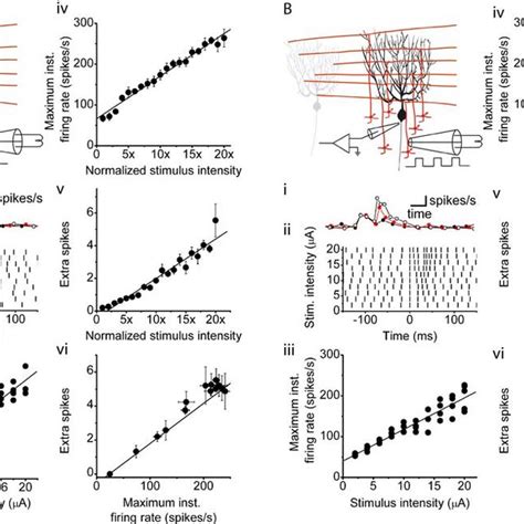 The Maximum Firing Rate Is A Linear Function Of The Synaptic Current Download Scientific