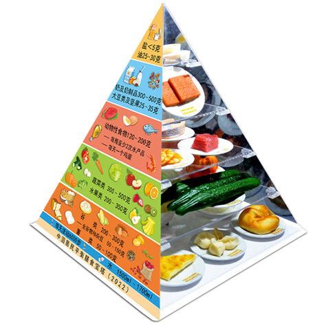 2022新版居民膳食宝塔模型健康饮食金字塔仿真食物指导模型可开票