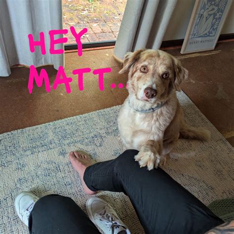 Really Touching Stand Up This Morning Proud To Have Such A Supportive… Matthew Mcgillivray