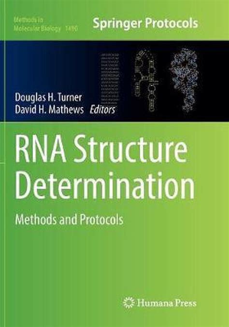 Rna Structure Determination 9781493981984 Boeken