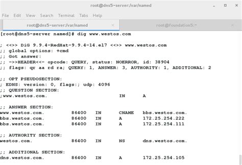 Linux之高级缓存DNS linux 查看dns缓存 CSDN博客