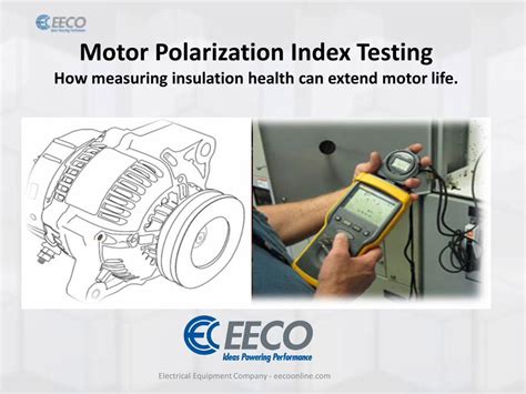 Pdf How Polarization Index Testing Extends Motor Life Dokumentips