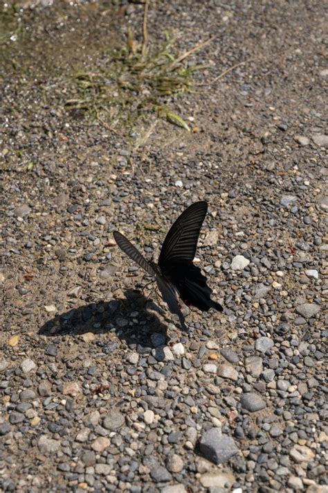 Regular Complex On Tumblr