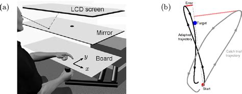 Figure 1 From Unifying The Sensory And Motor Components Of Sensorimotor