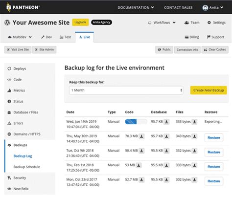 Create Backups Backups Tool Pantheon Docs