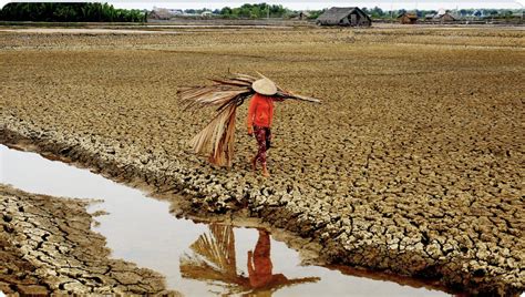 Five Principles For Gender Transformative Climate Adaptation Sei