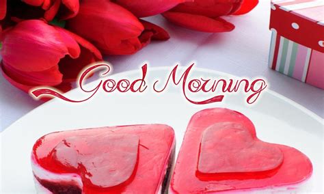 Ultimate Collection Stunning Hd Good Morning Love Images In Full K