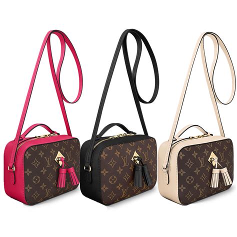 The Louis Vuitton Saintonge Bag Iucn Water