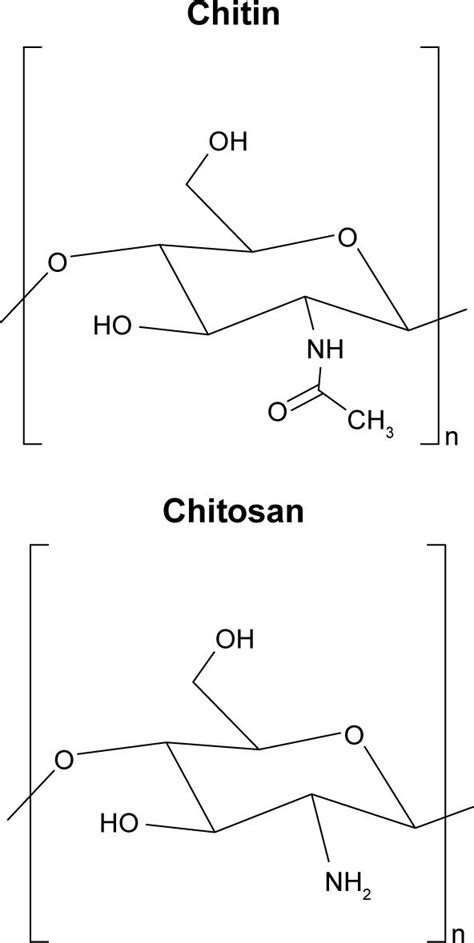 Structure Of Chitin And Chitosan Download Scientific Diagram