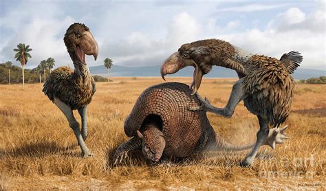 Phorusrhacos Prehistoric Birds Attacking Prey Photograph By Jaime
