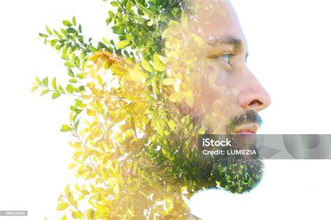 밝은 녹색 잎과 혼합 된 젊은 잘생긴 남자의 초상화의 이중 노출 자연의 창조의 완벽한 아름다움을 보여주는 다중 노출에 대한 스톡 사진 및 기타 이미지 Istock