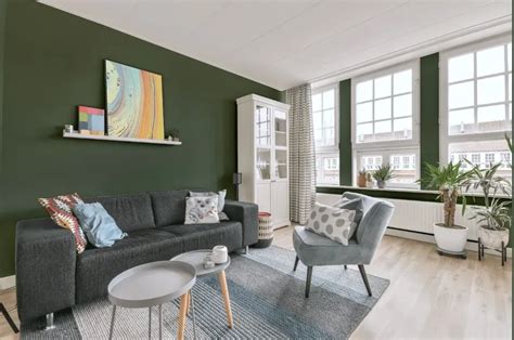 Benjamin Moore Lush Af 475 41 Real Pictures