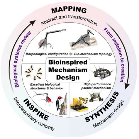Simulation Of An Articulated Manipulator And Its Kinematic Diagram