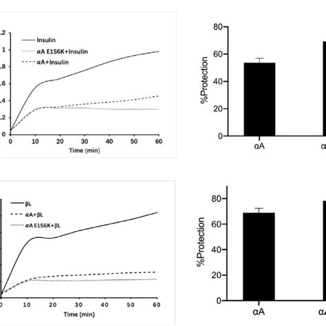 Chaperone Like Activity Of E156k Mutant In Cryaa Compared To Wild Type