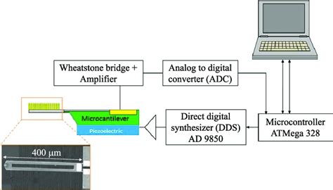 Color Online Schematic Diagram Of The Sensor System Download Scientific Diagram