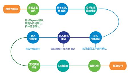 Bd单细胞测序联合absin多色，共同探索脑部肿瘤微环境