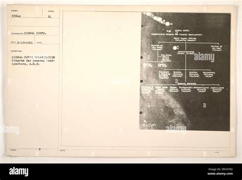 Diagramme Dorganisation Du Corps De Signal Pour Le Quartier Général A E F Cette Photographie