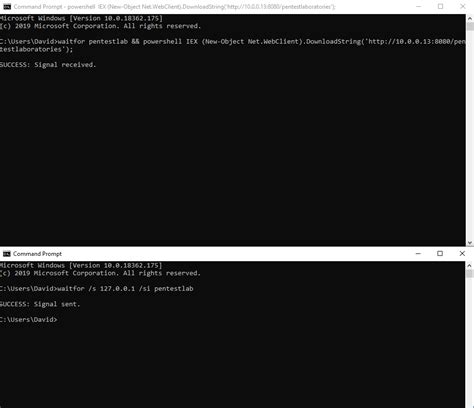 Persistence Waitfor Penetration Testing Lab
