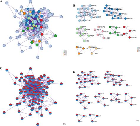 ppi network and mcode components a ppi network colored by cluster